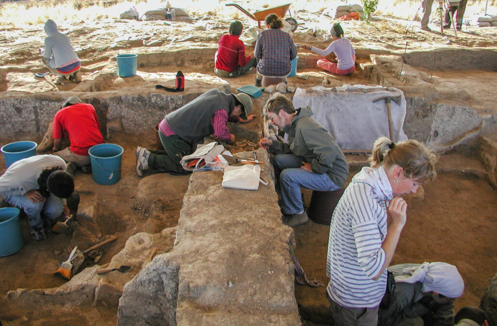 The Bone Decoder - UNC Research