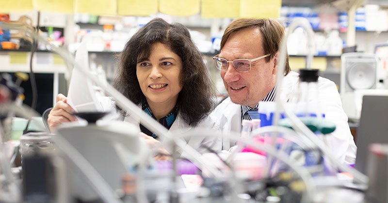 Viral Love - UNC Research