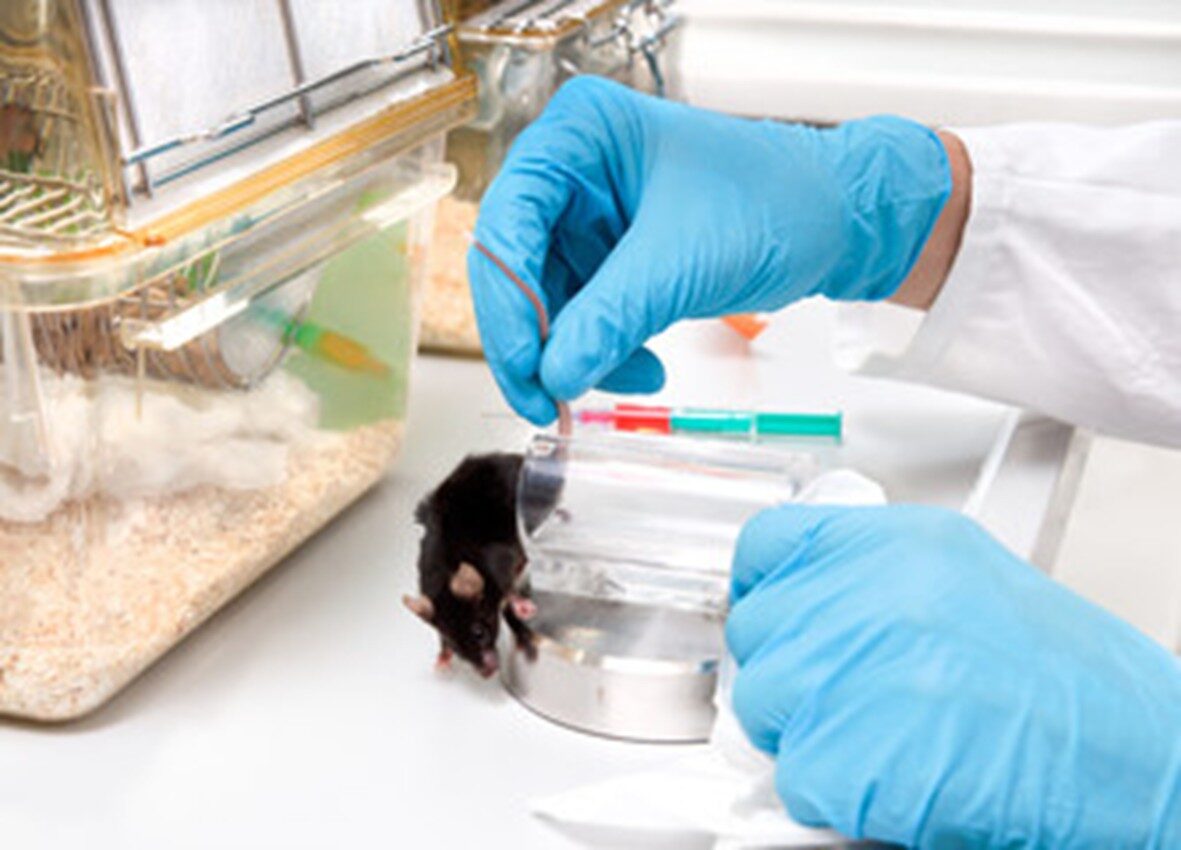 DCM Training - UNC Research